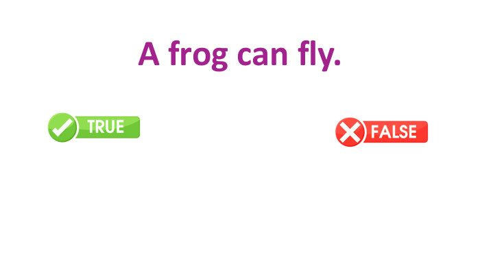 Презентація "animals true false fun activities"