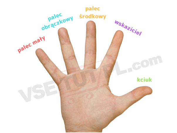 Матеріали до уроку, лексика пов'язана з темою " У лікаря"