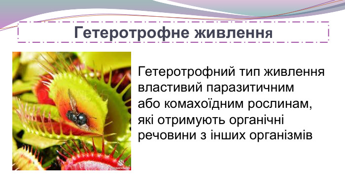 Презентація Живлення рослин