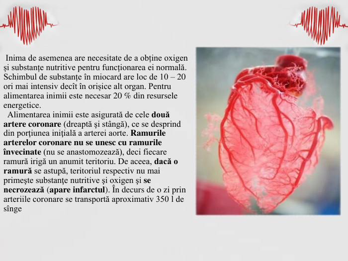 Prezentare pe tema Sistemul cardiovascular. Inima.
